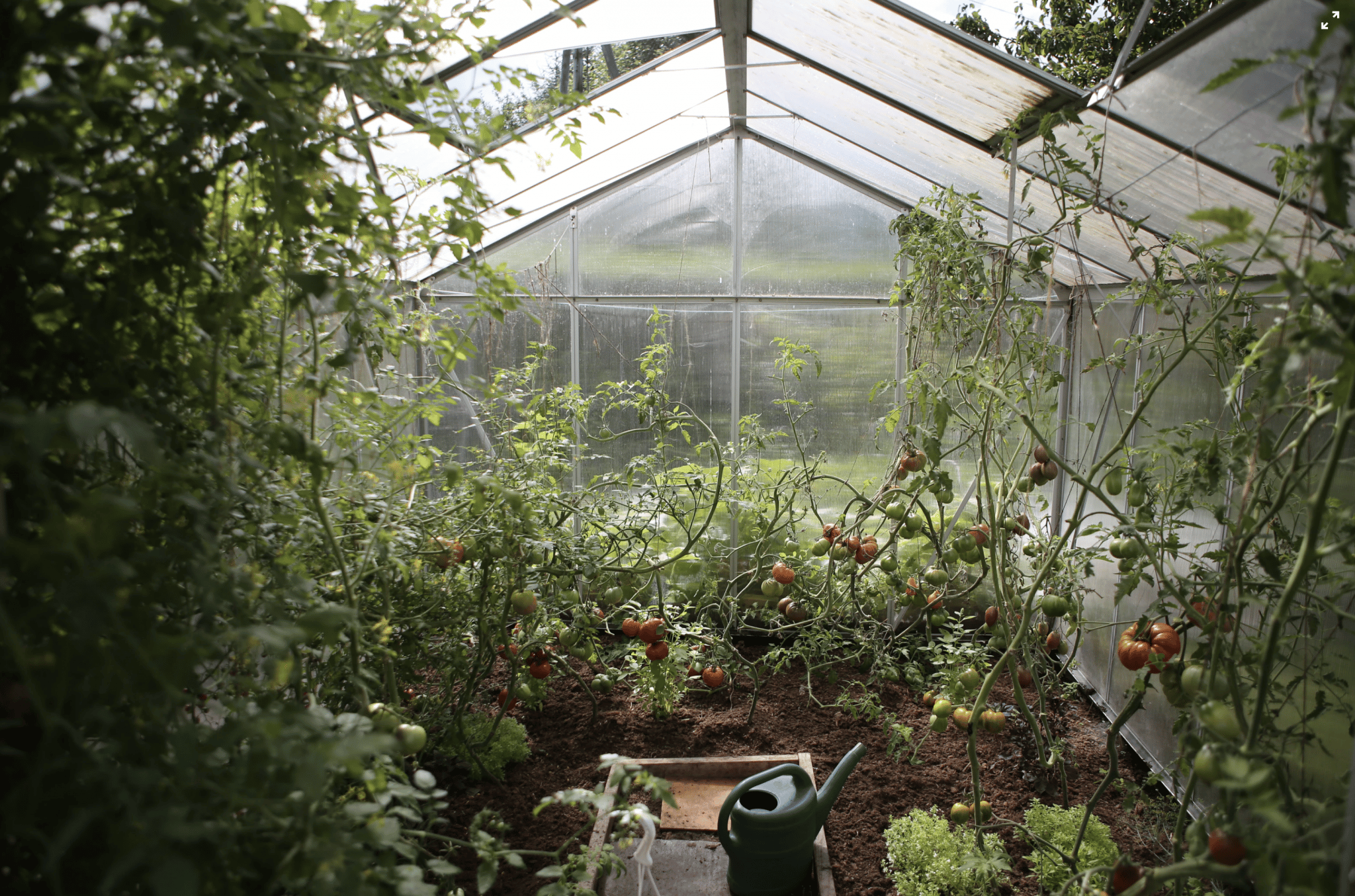 The Exciting Benefits of Permaculture. A Beginners Guide! - My Backyard ...